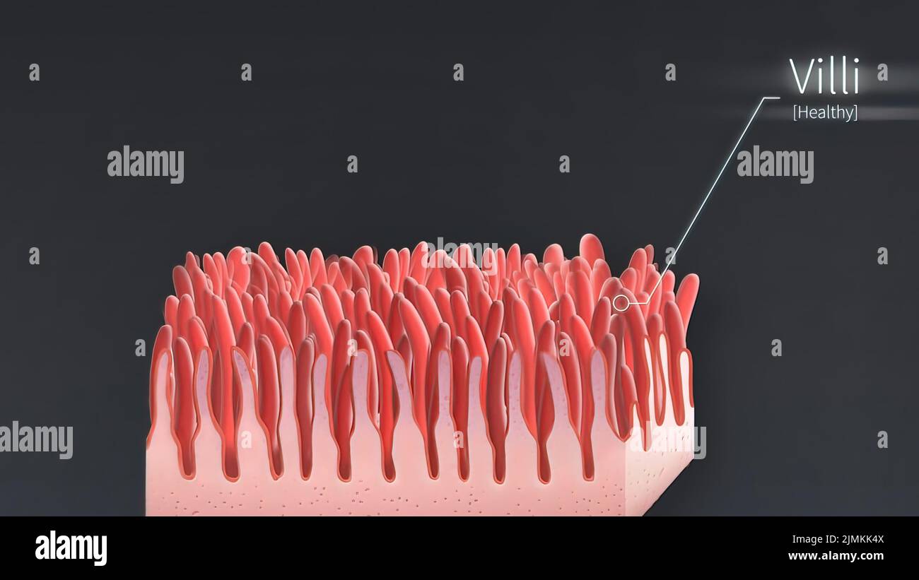 Microscope style hi-res stock photography and images - Alamy