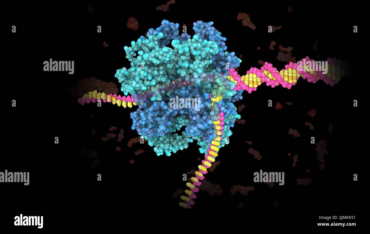 Separate structure hi-res stock photography and images - Alamy