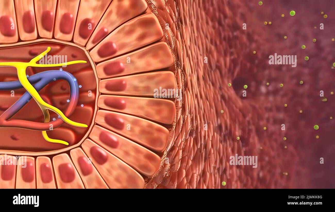 Cleaning cell hi-res stock photography and images - Alamy