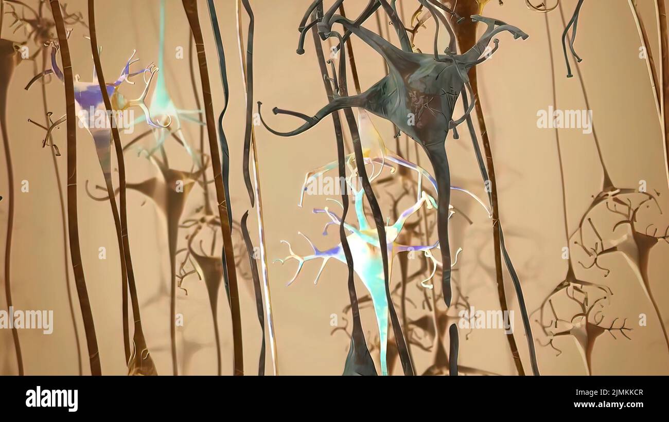 Lost his nerve hi-res stock photography and images - Alamy