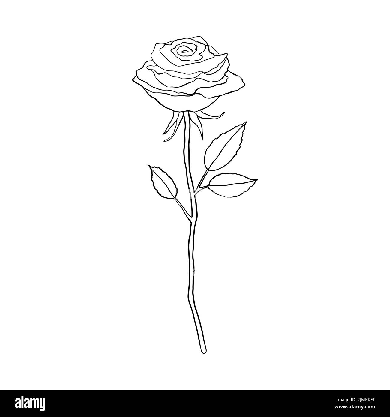 Rose Outline With Stem