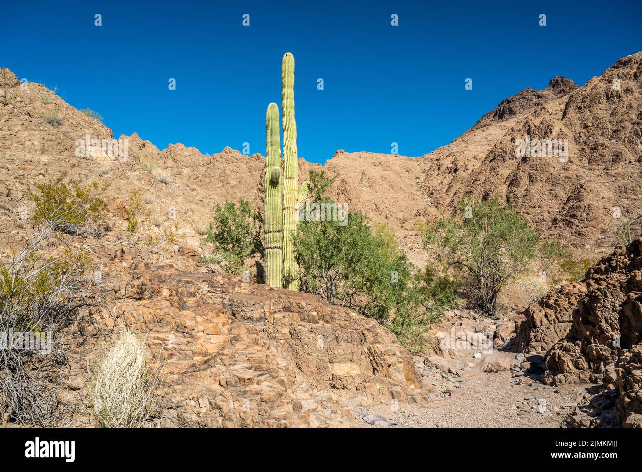 An overlooking view of nature in Yuma, Arizona Stock Photo - Alamy