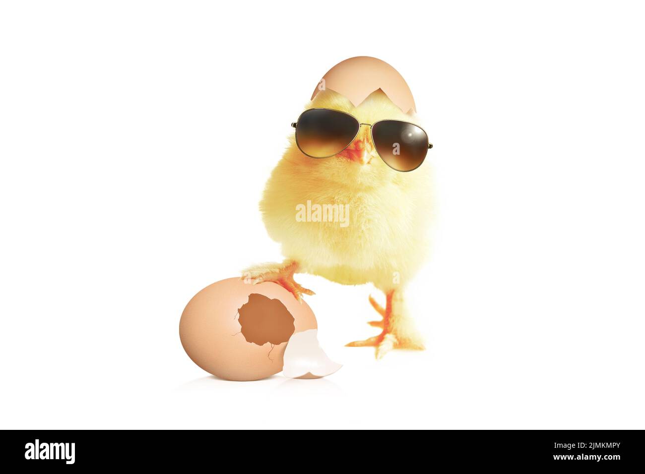 Funny cute baby chick with sunglasses and eggs Stock Photo - Alamy
