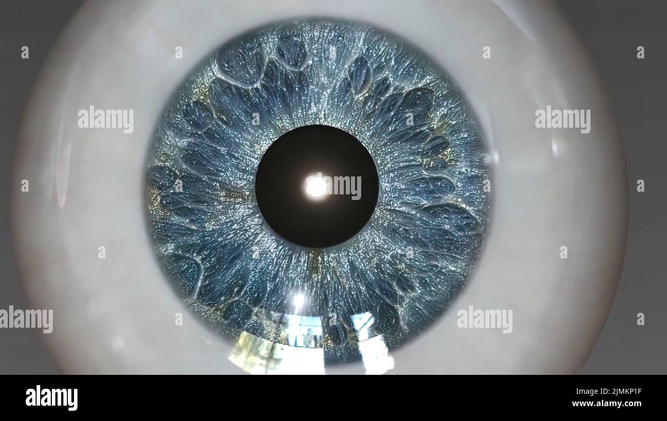 Human eye view hi-res stock photography and images - Alamy