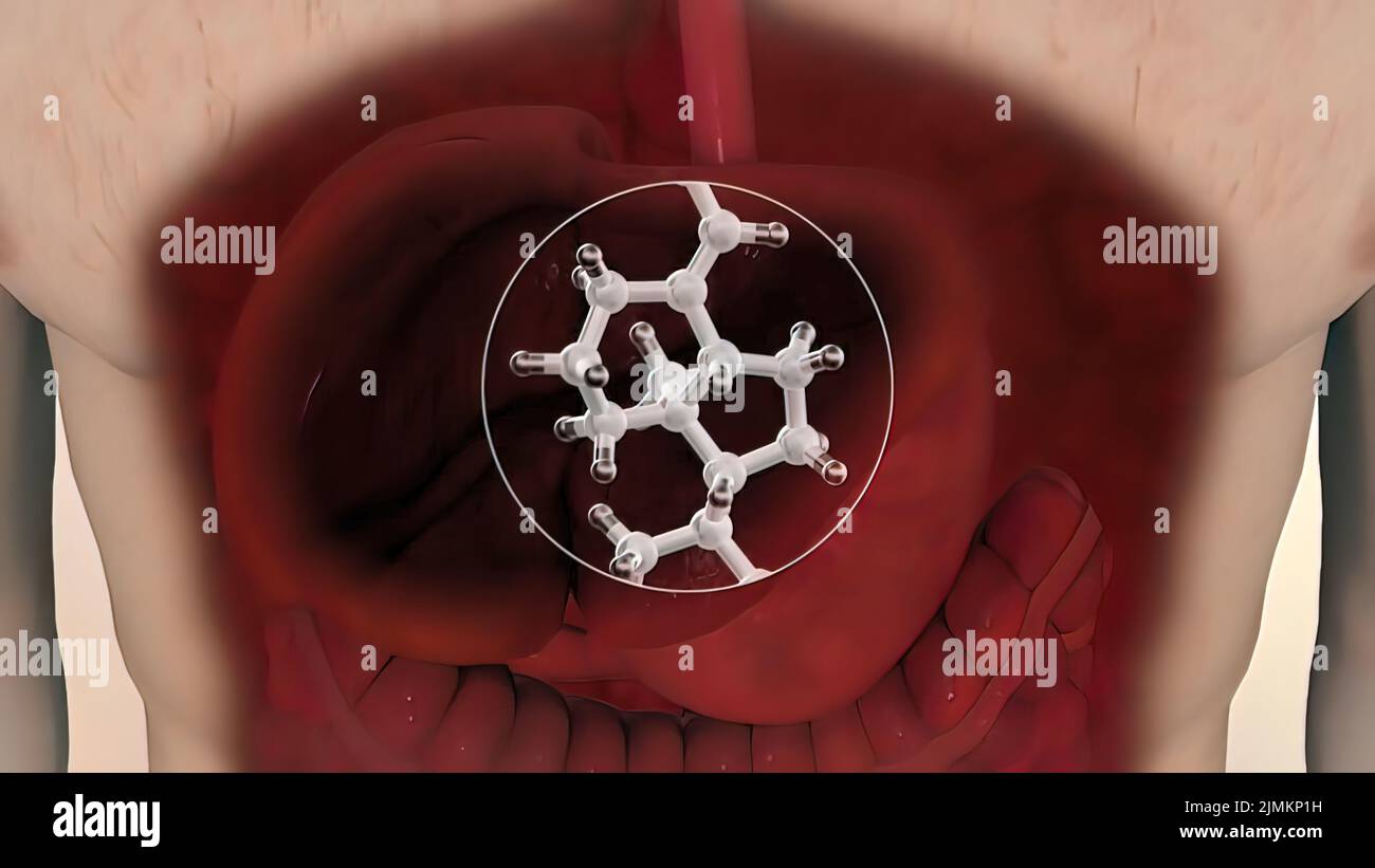 Liver healthy human hi-res stock photography and images - Alamy