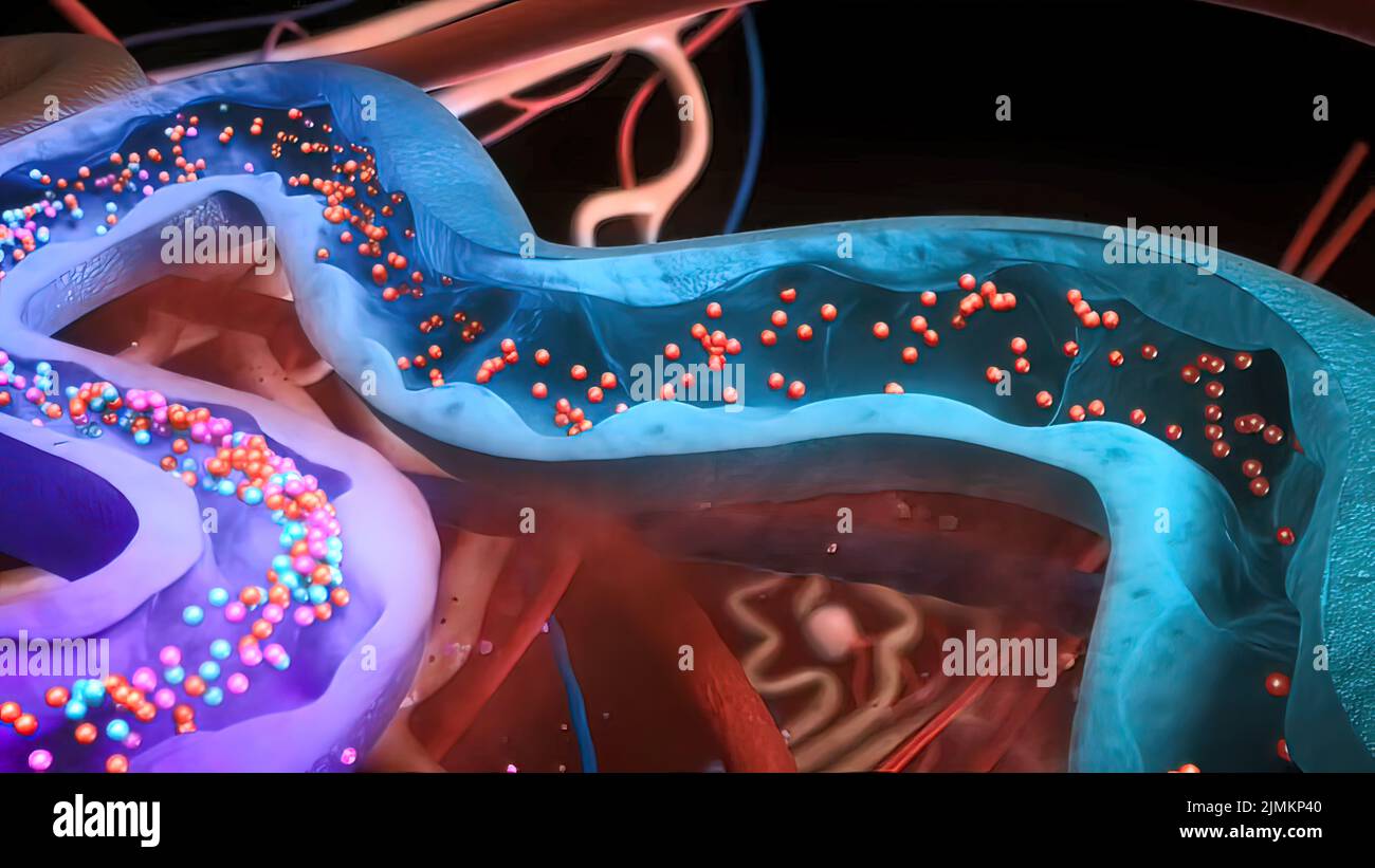 Ion receptor hi-res stock photography and images - Alamy