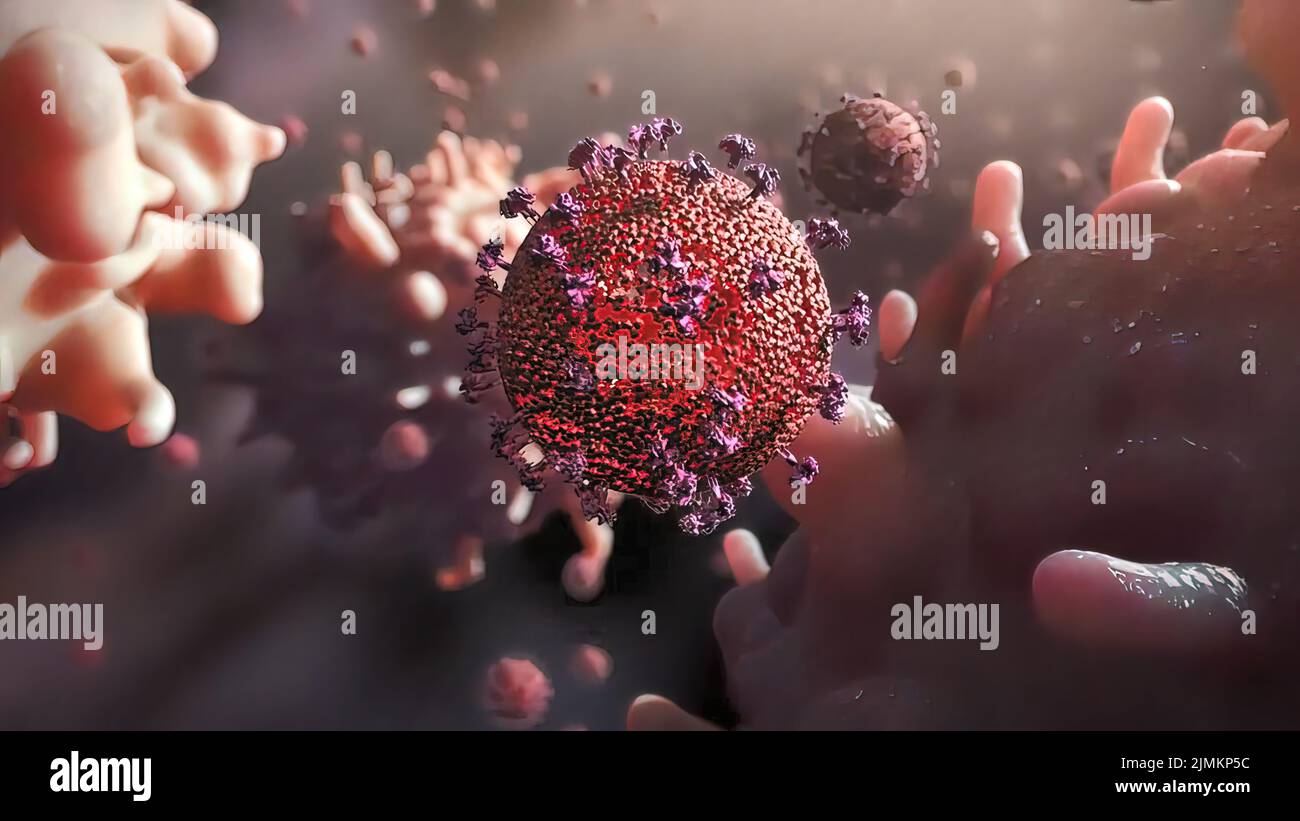 Mitosis, animal cell hi-res stock photography and images - Alamy