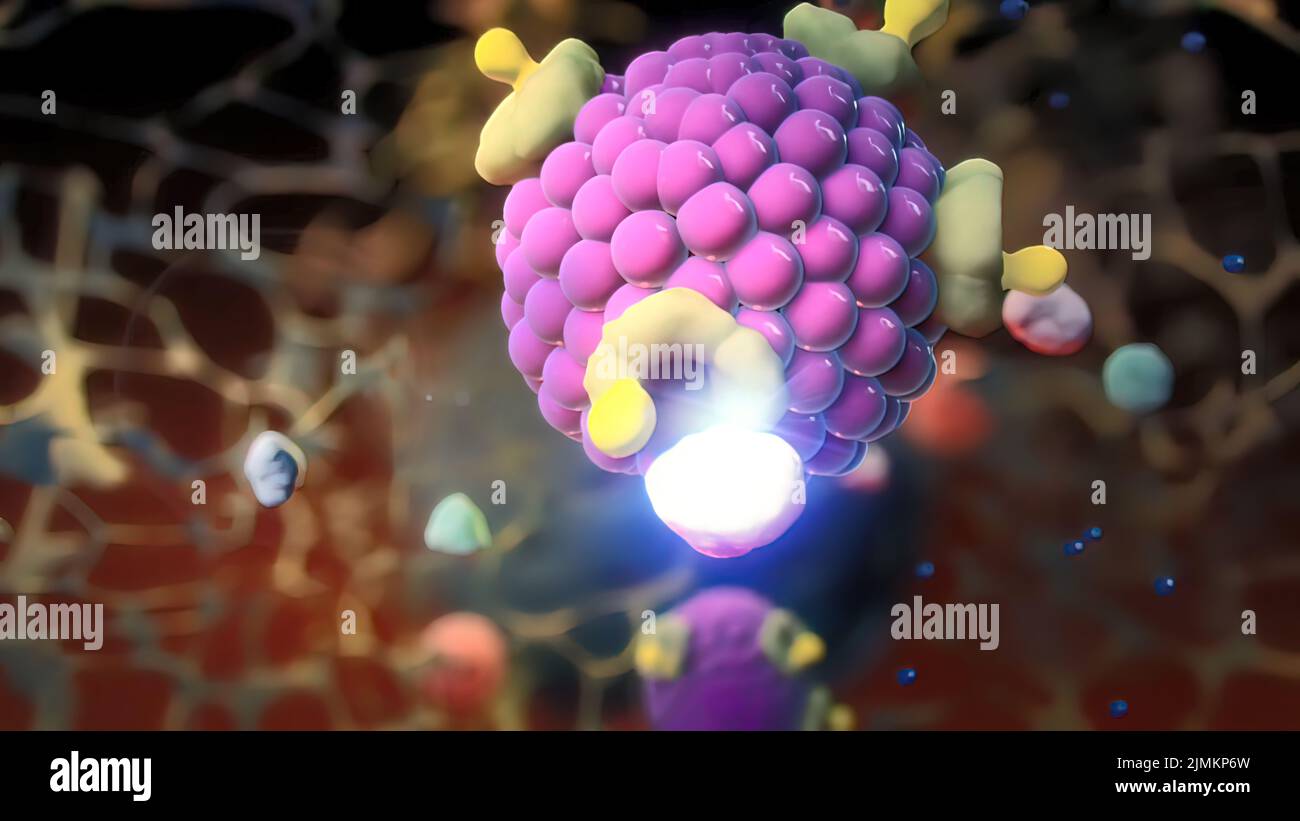 Ion receptor hi-res stock photography and images - Alamy