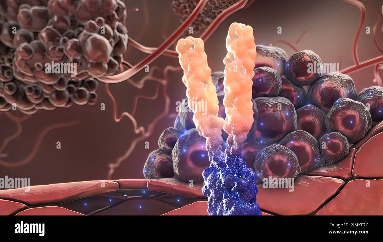Extracellular domain hi-res stock photography and images - Alamy