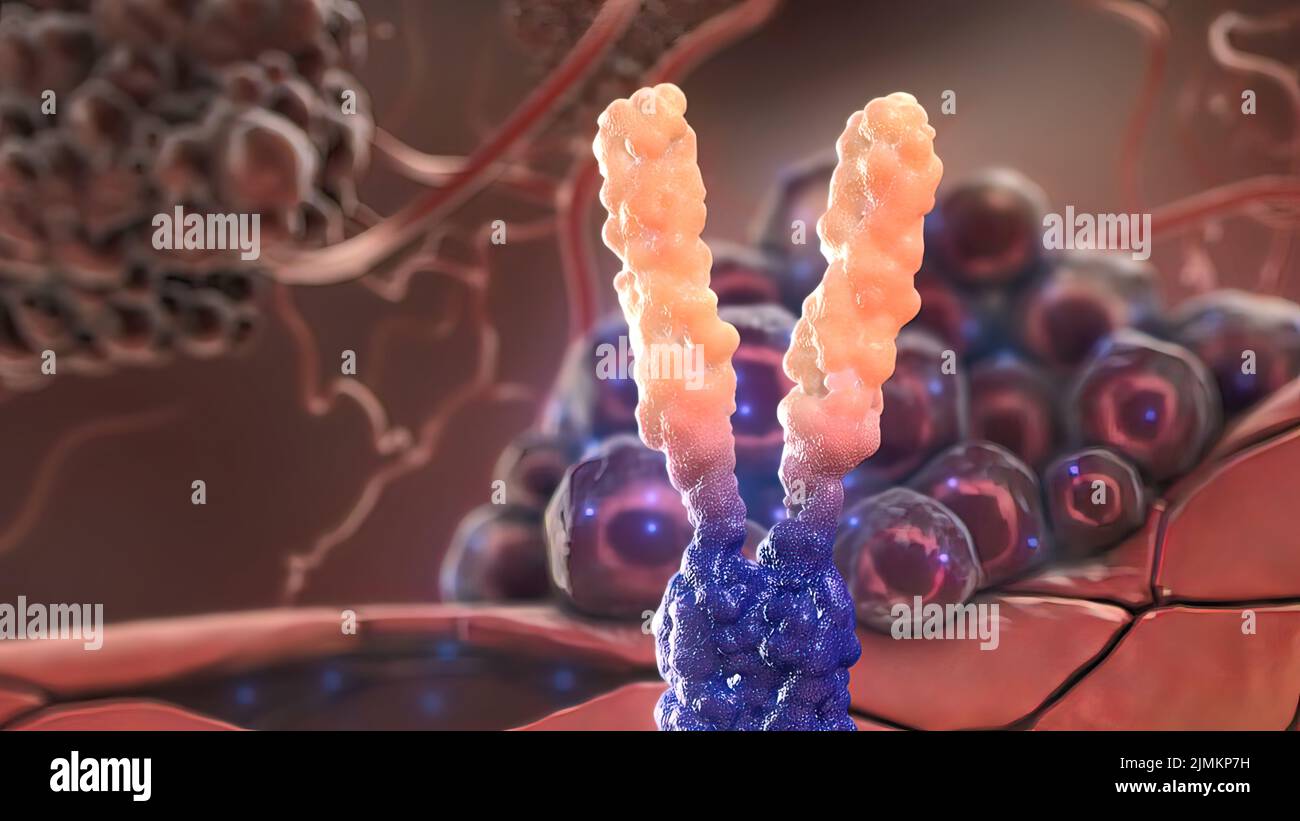 Extracellular domain hi-res stock photography and images - Alamy