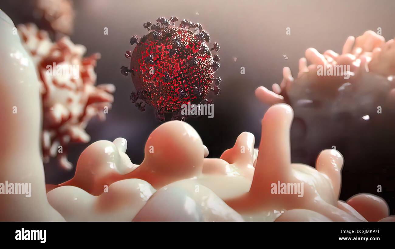 Mitosis, animal cell hi-res stock photography and images - Alamy