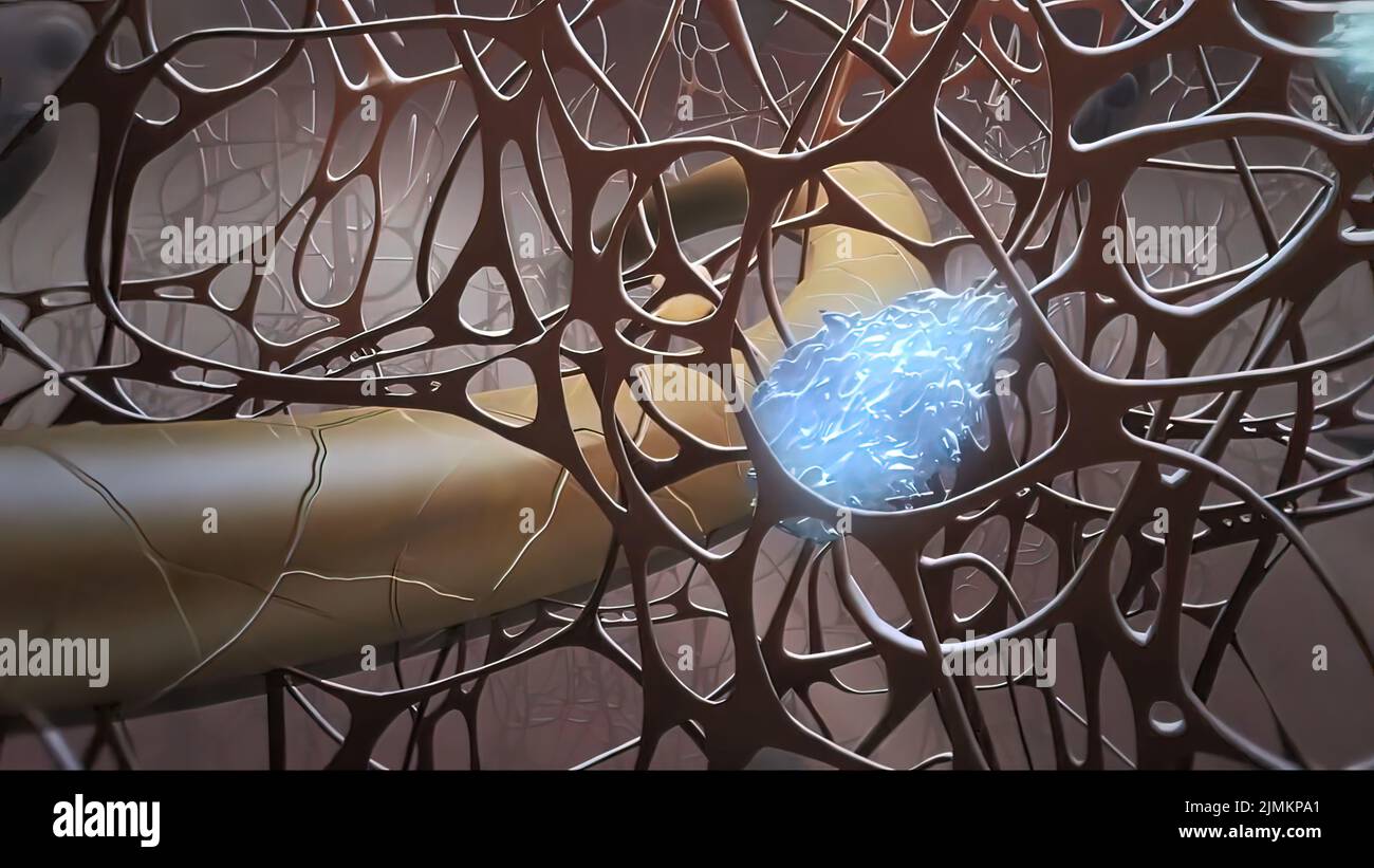 Dermis anatomy hi-res stock photography and images - Alamy