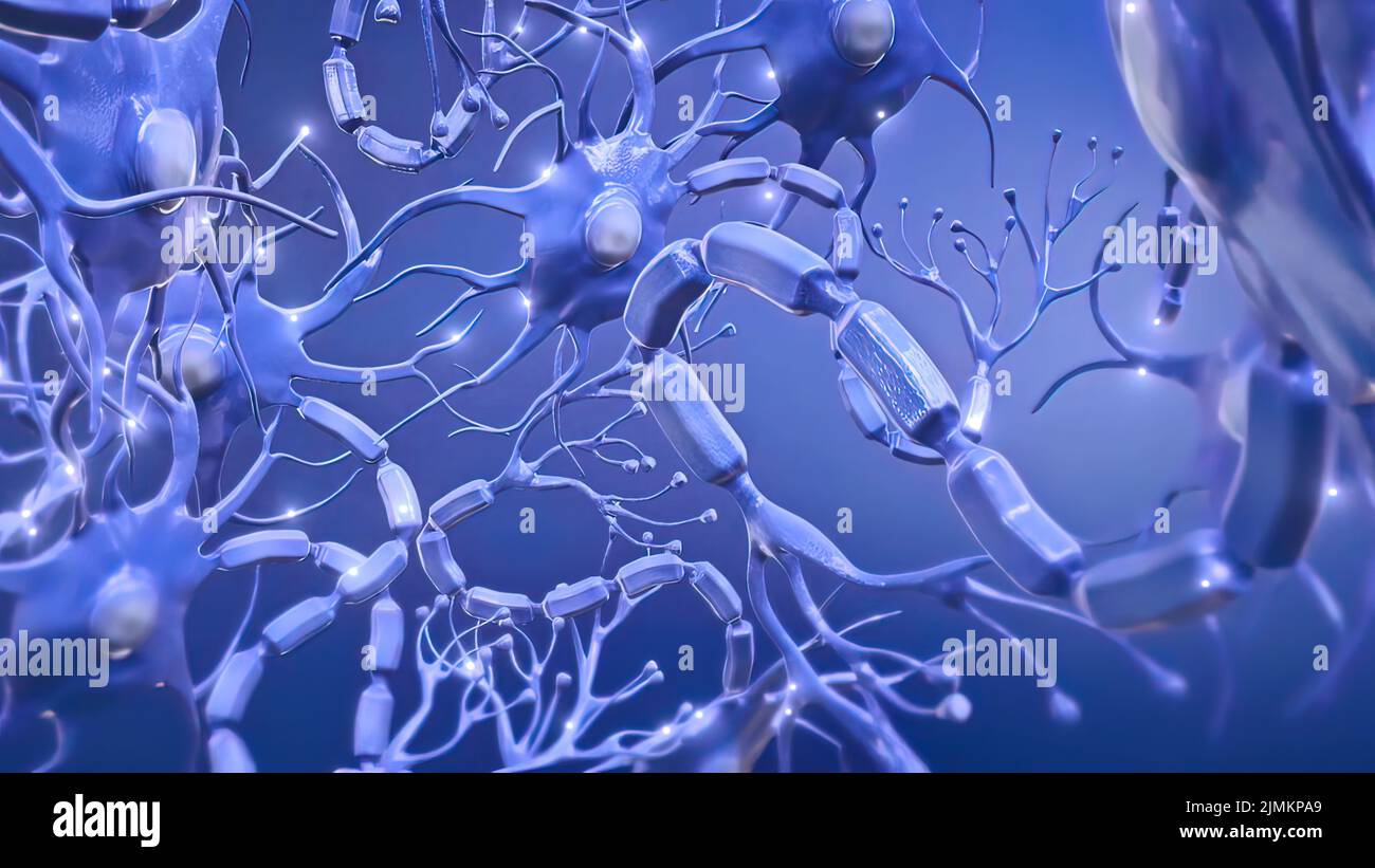 Fundamental brain hi-res stock photography and images - Alamy