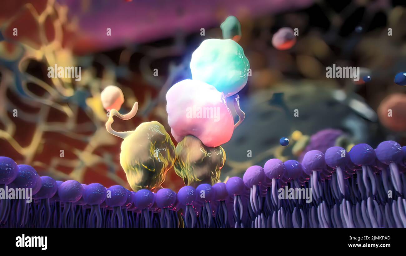 Ion receptor hi-res stock photography and images - Alamy
