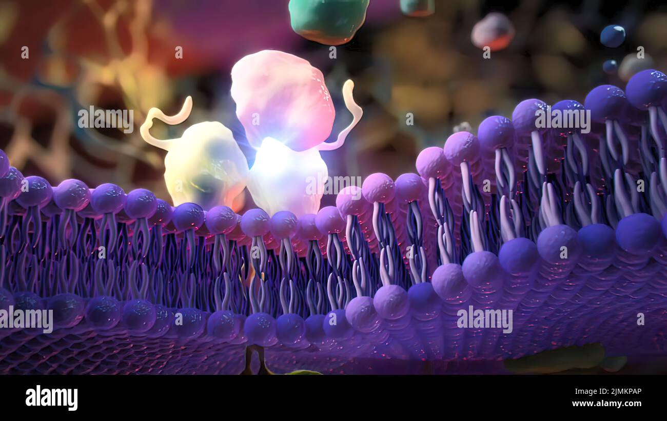 Ion receptor hi-res stock photography and images - Alamy