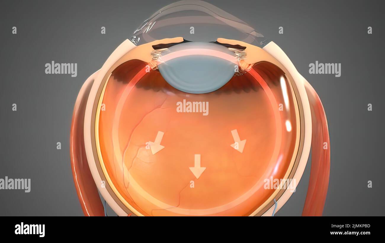Opening eyelid hi-res stock photography and images - Alamy