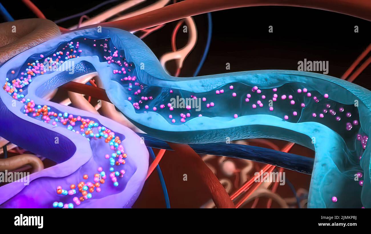 Mitochondria microscope image hi-res stock photography and images - Alamy