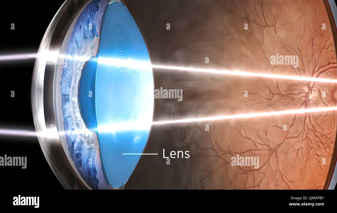 Eye lens diagram hi-res stock photography and images - Alamy