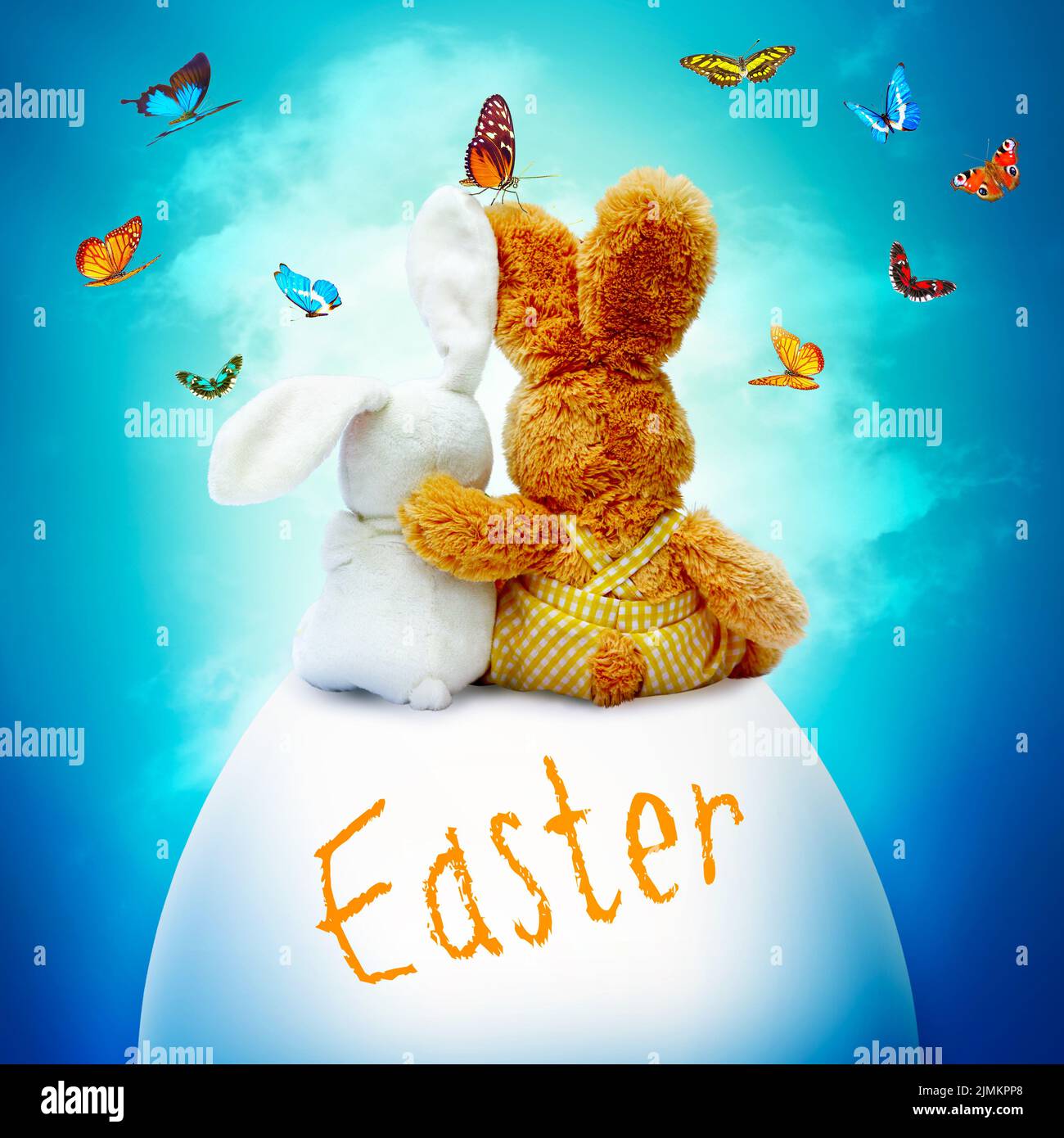 Funny Easter bunny. Happy Easter holiday concept Stock Photo - Alamy