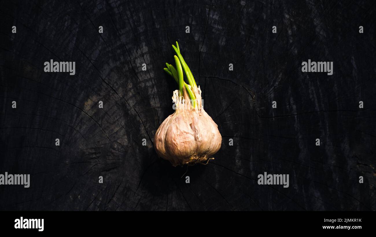healthy organic food condiment garlic bulb wood Stock Photo - Alamy