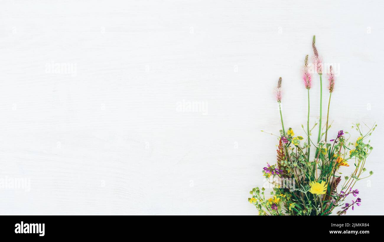 floral background plants decorative composition Stock Photo - Alamy