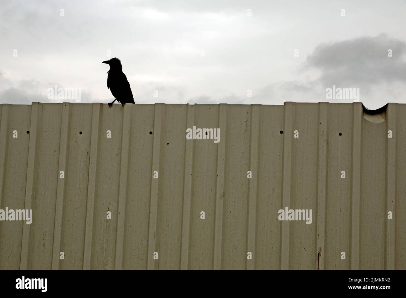 Raven fence hi-res stock photography and images - Alamy