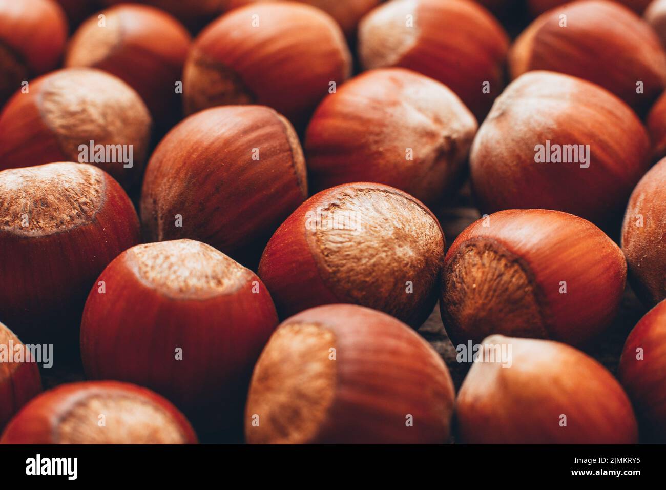 hazelnut pattern natural background fall season Stock Photo - Alamy