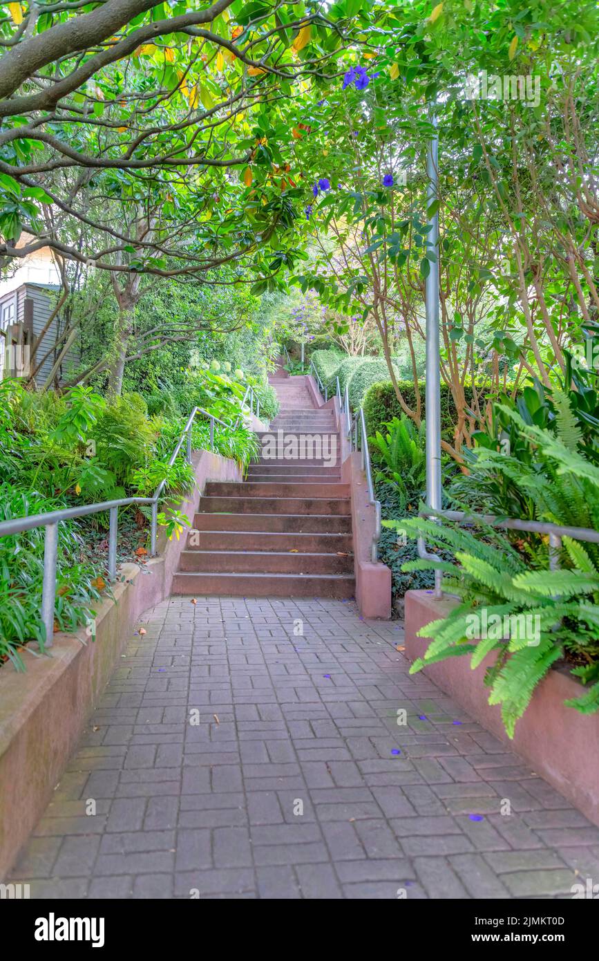 Bricks pathway with railings in the middle of a garden in San Francisco ...