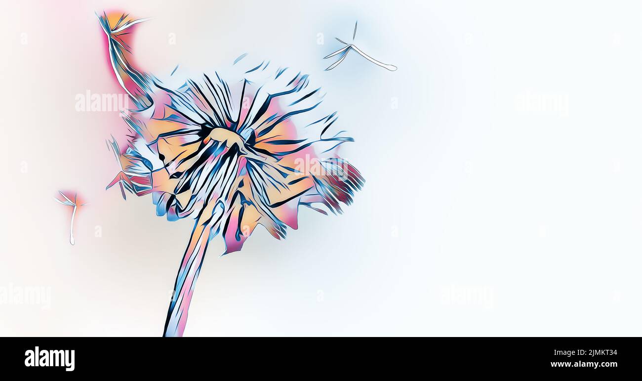 Colorful Dandelion Image Stock Photo - Alamy
