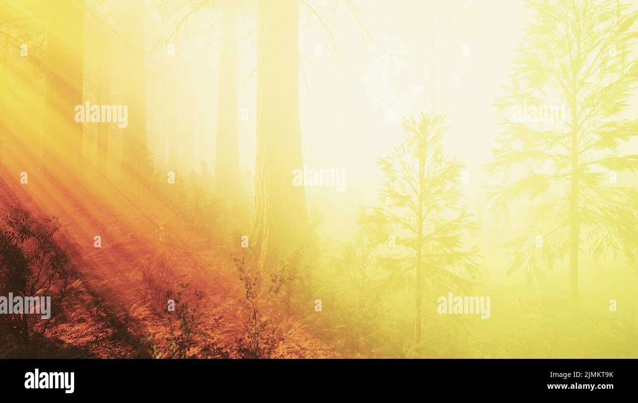 Marvelous scenery hi-res stock photography and images - Alamy