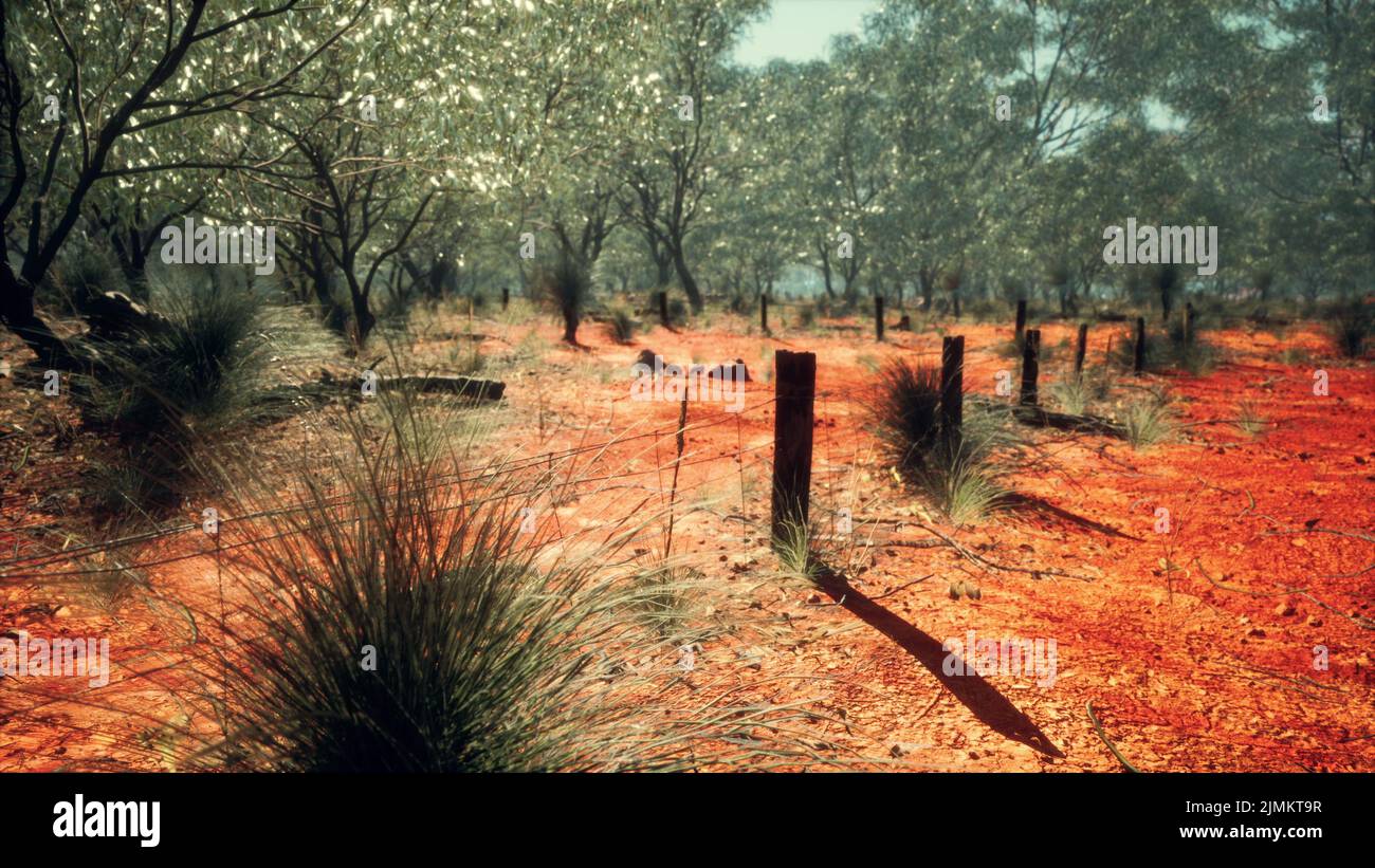 Dingoe fence in the Australian Outback Stock Photo - Alamy