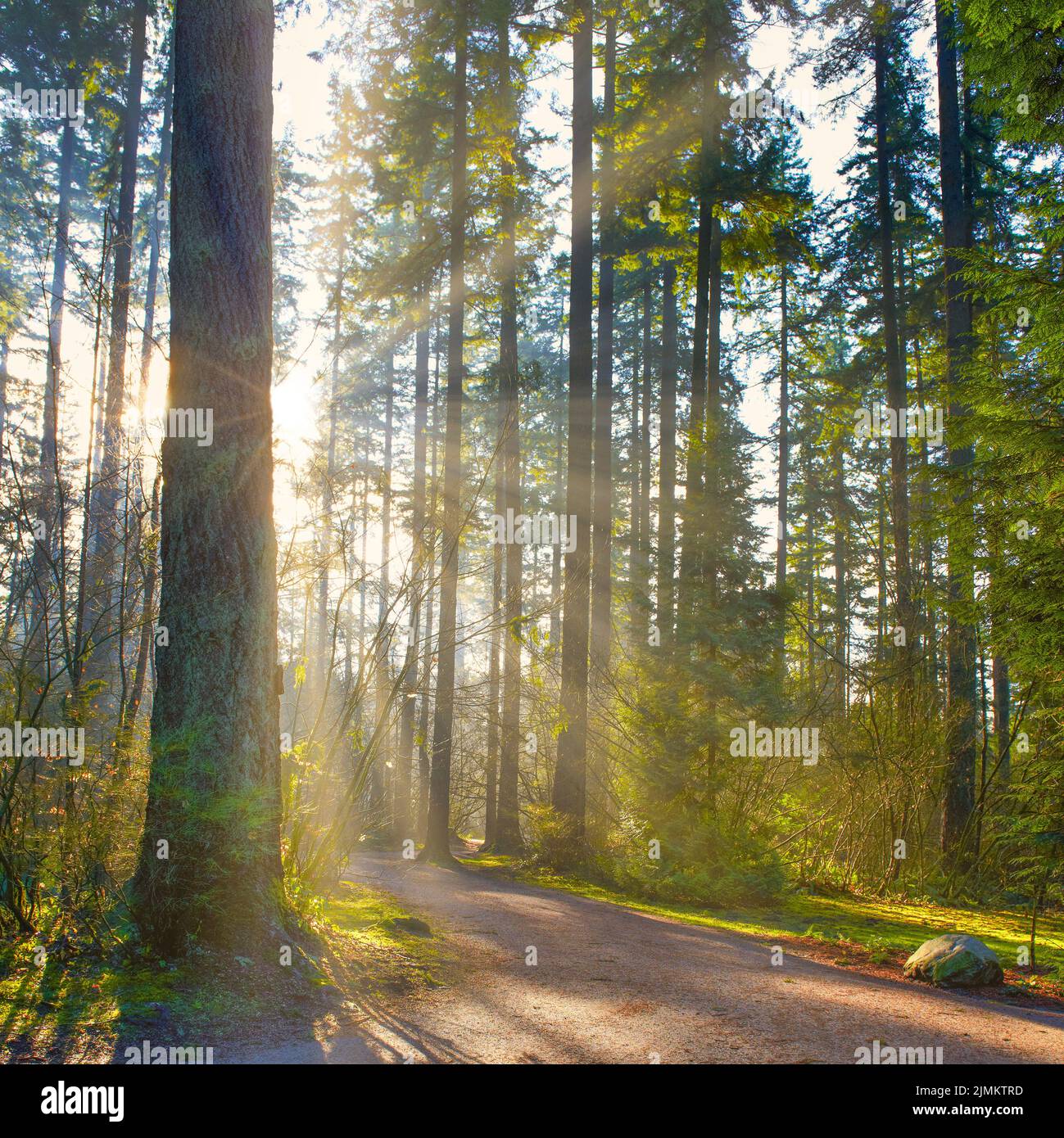 Moring hi-res stock photography and images - Alamy