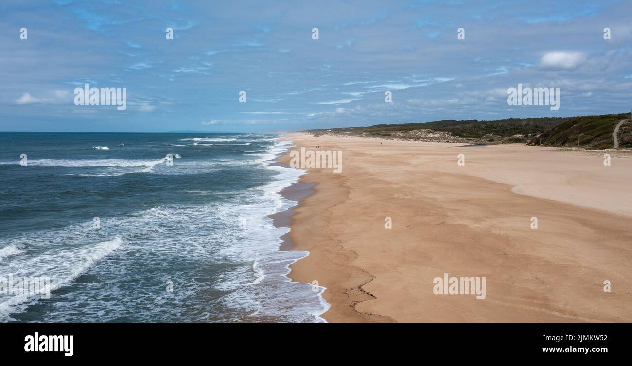 Drone view of a wide empty and endless golden sand beach with high sand ...