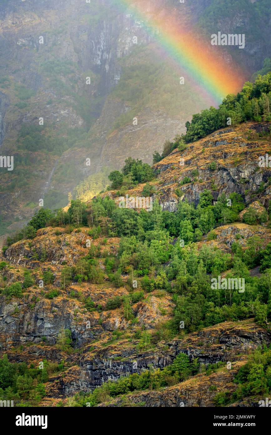 Norway rain forest hi-res stock photography and images - Alamy