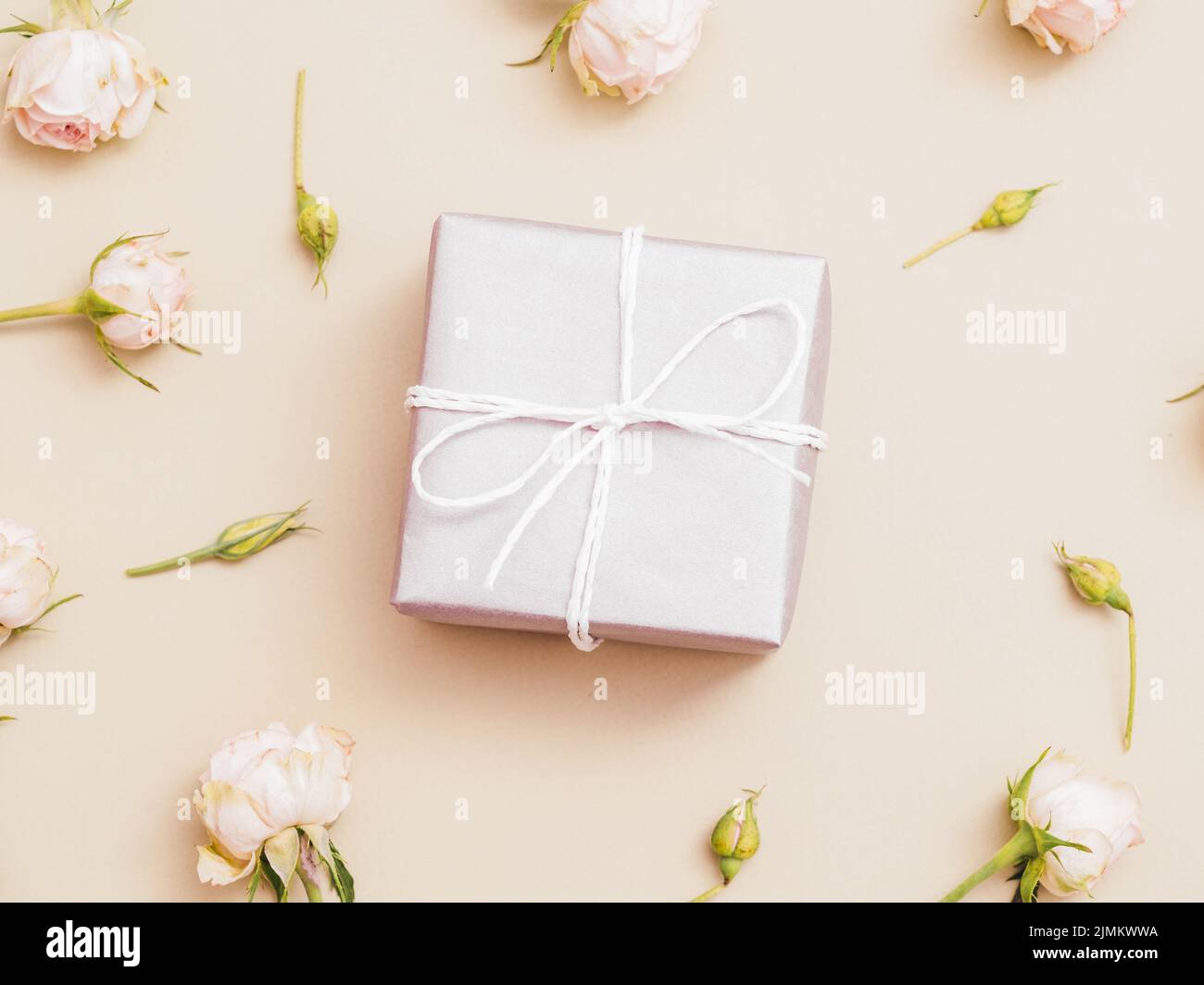 Decorative women hi-res stock photography and images - Alamy