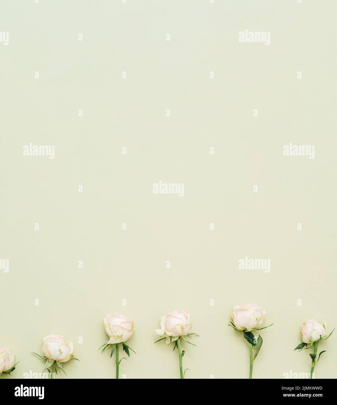 floral minimalist background natural arrangement Stock Photo - Alamy