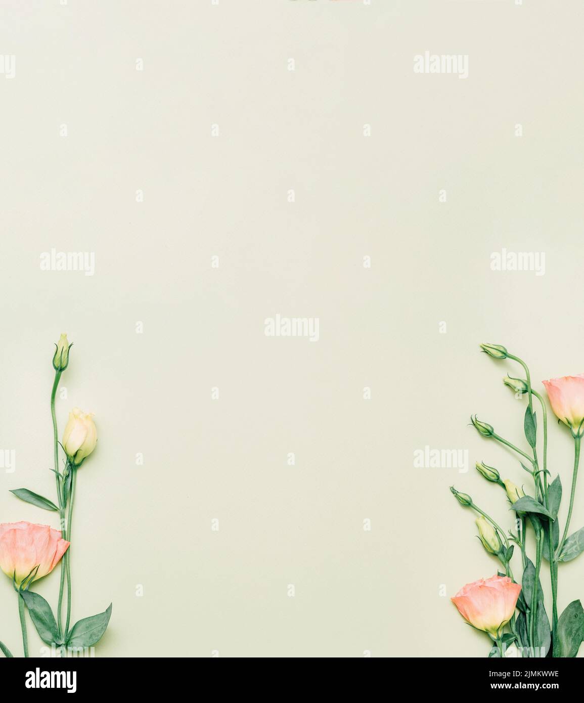 Pink floral backdrop hi-res stock photography and images - Alamy