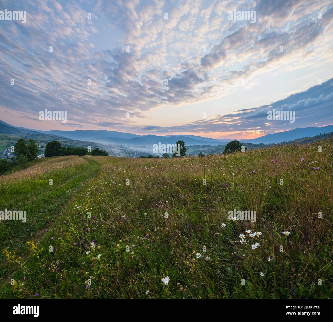 Summer twilight Carpathian mountain countryside meadows. with beautiful ...