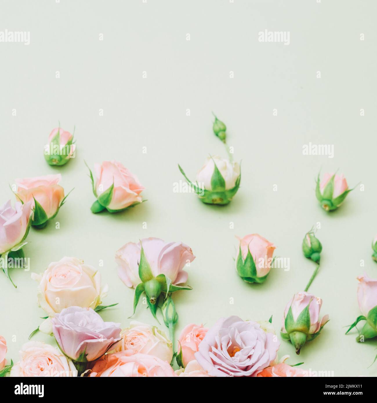 creative floral composition natural decor rose Stock Photo - Alamy