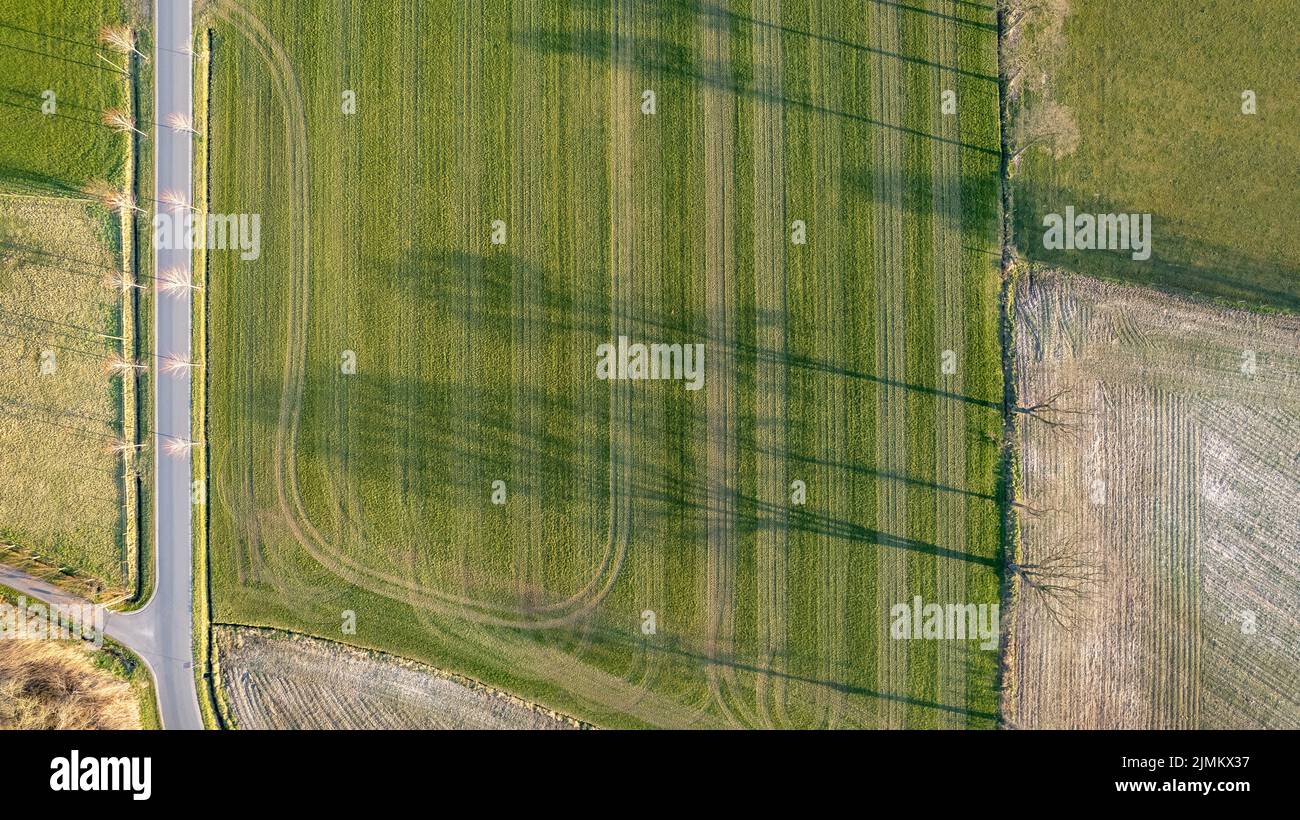 Aerial view geometric farming fields, showing a green meadow and plowed ...