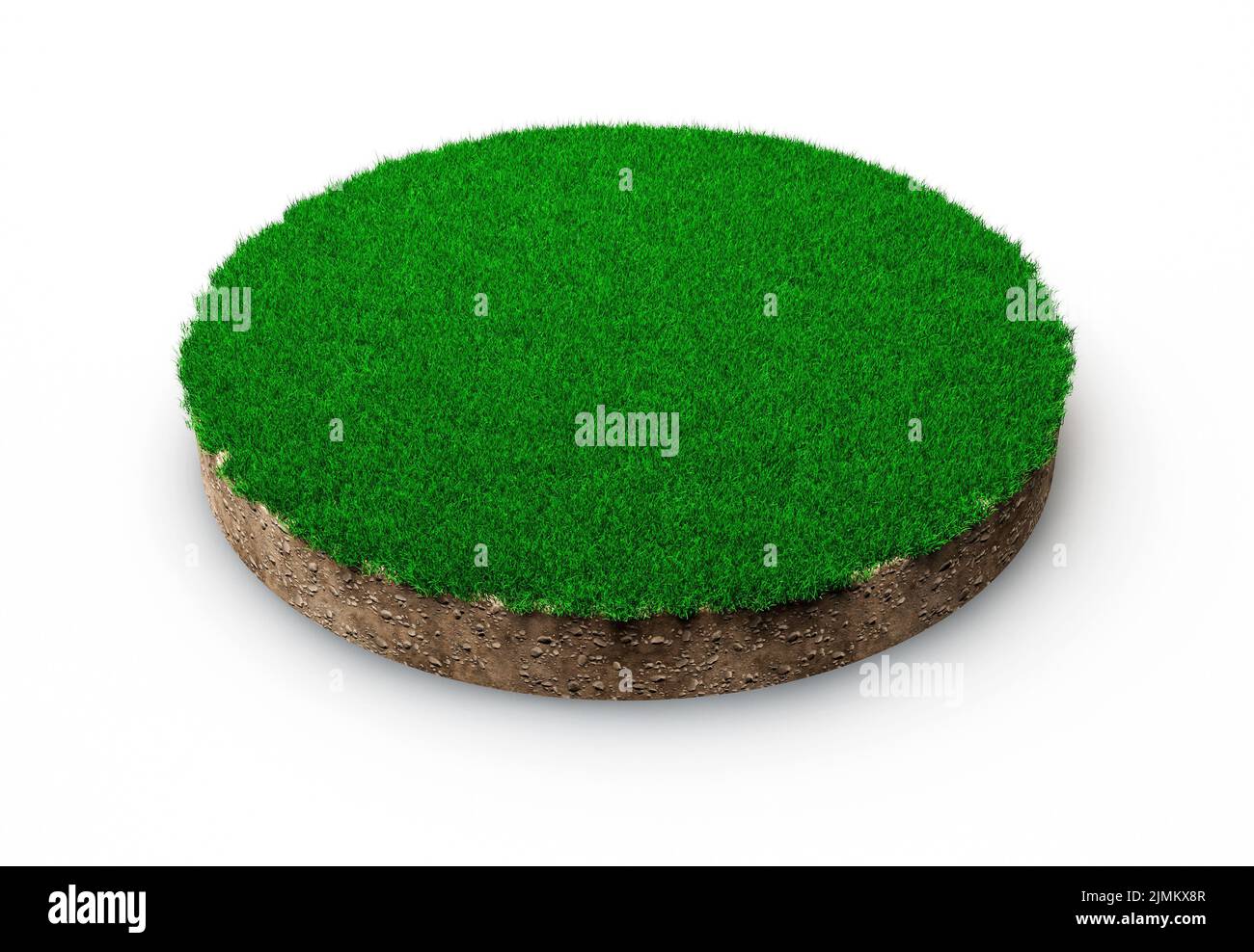 A 3D Illustration of a circle with cross section on the white ...