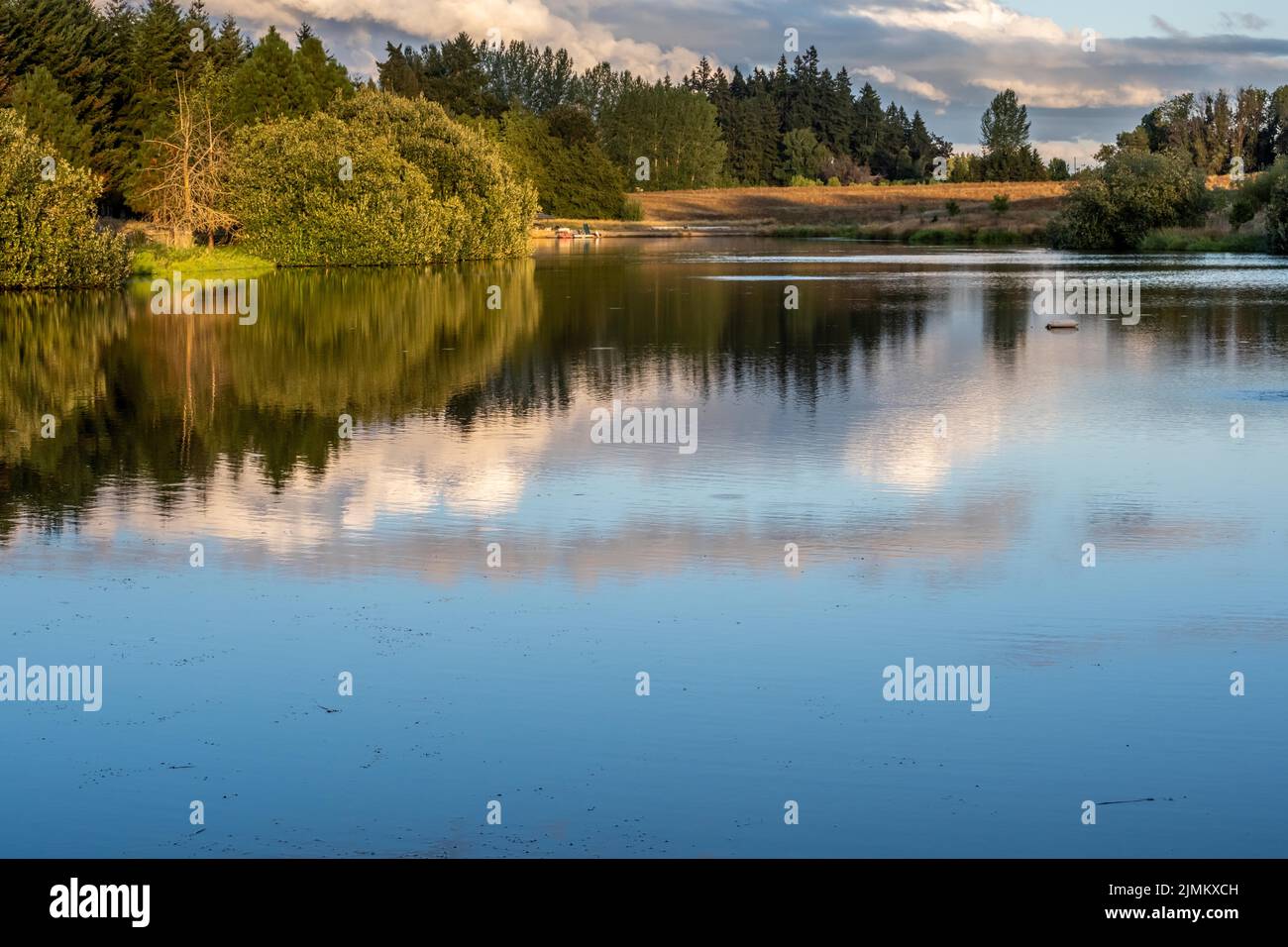 An overlooking view of nature in Portland, Oregon Stock Photo - Alamy