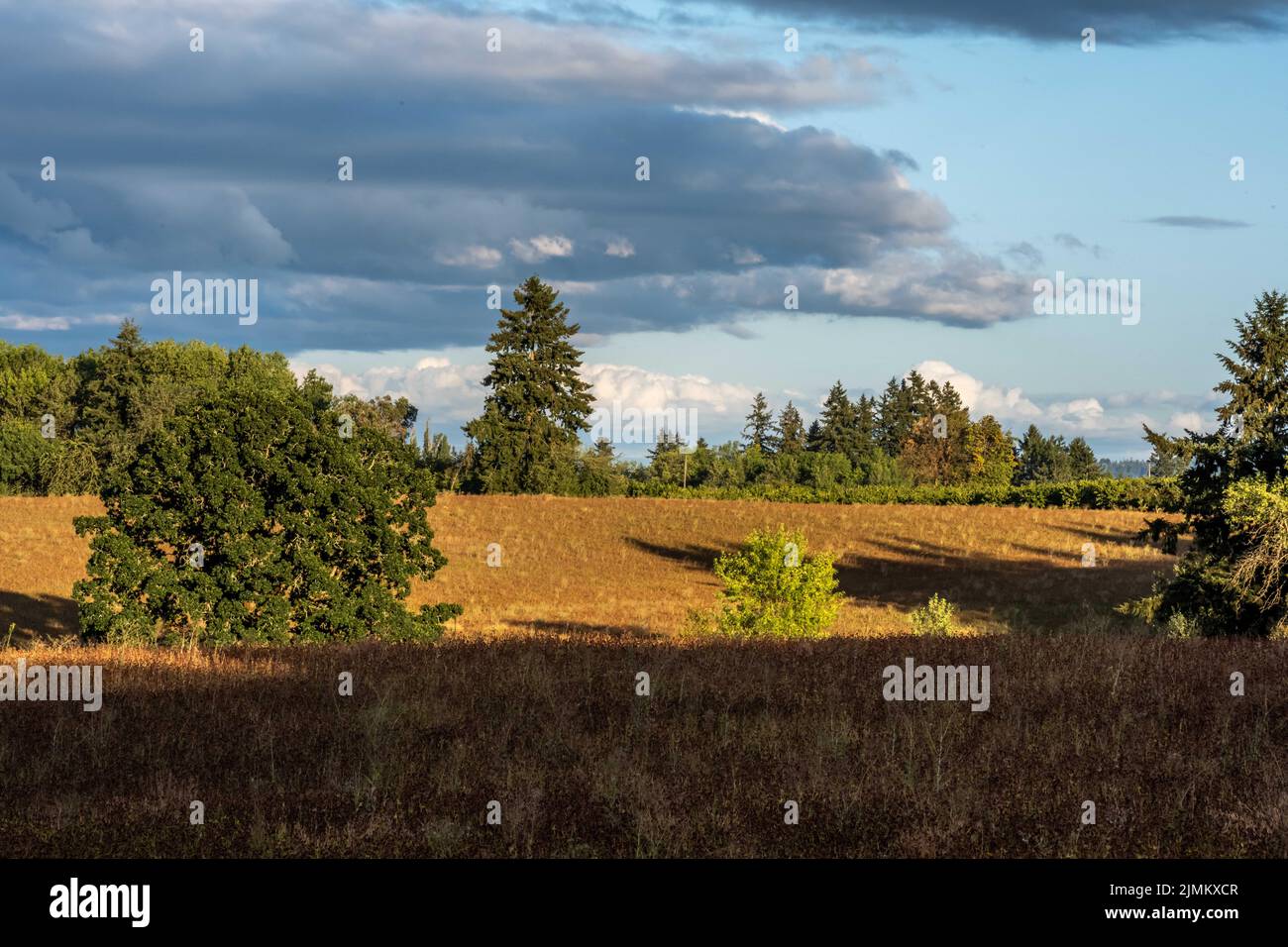 Portland oregon beautiful mountain views hi-res stock photography and ...