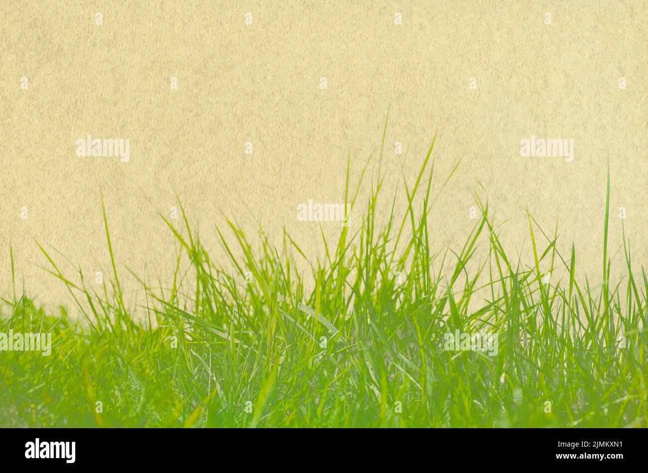 Plain paper hi-res stock photography and images - Alamy