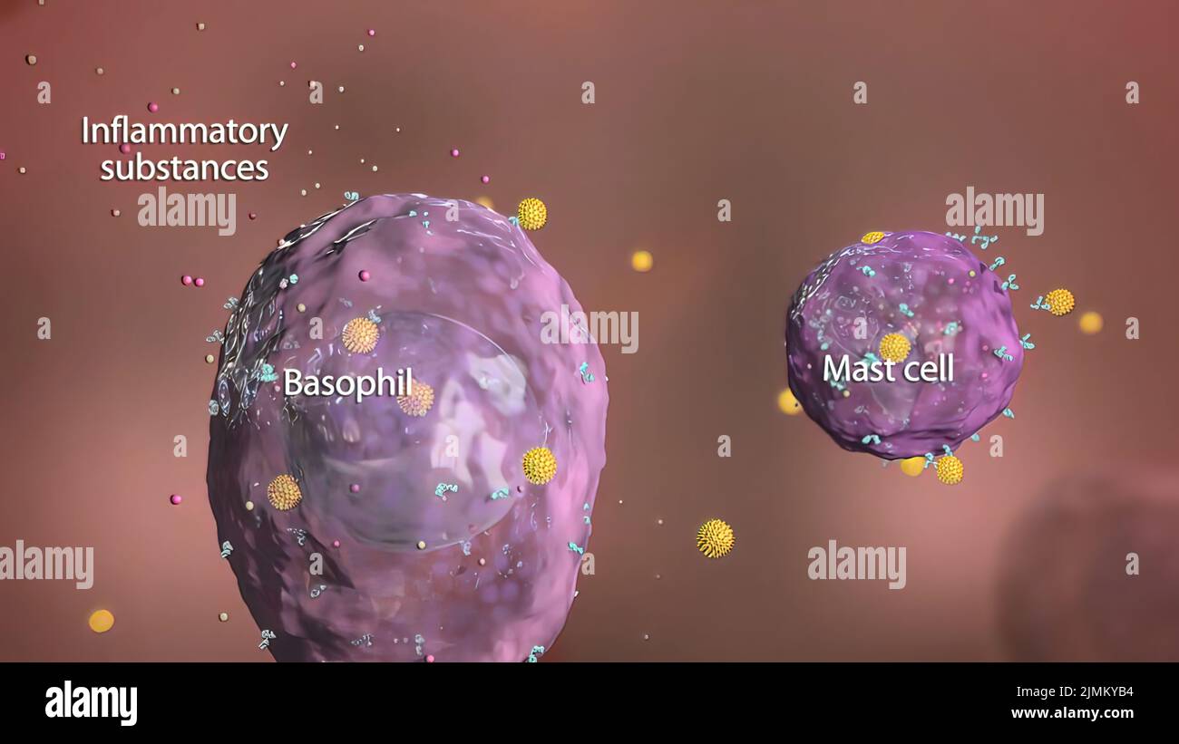 Immune cell therapy hi-res stock photography and images - Alamy