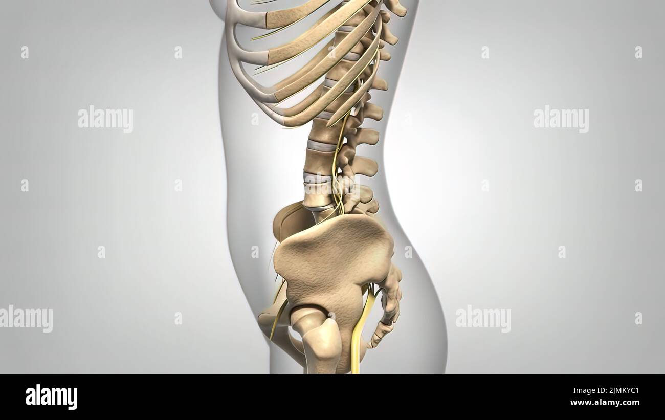 Progression system hi-res stock photography and images - Alamy