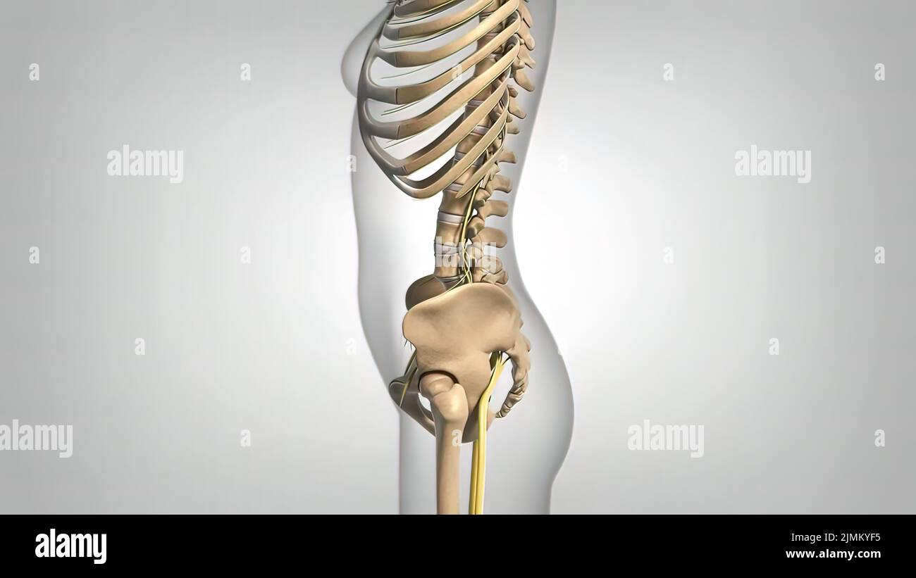 Progression system hi-res stock photography and images - Alamy