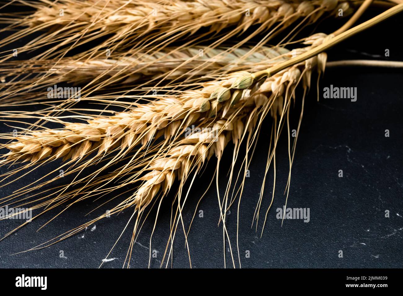 Wheat ears detail. Cereals for backery, flour production Stock Photo ...