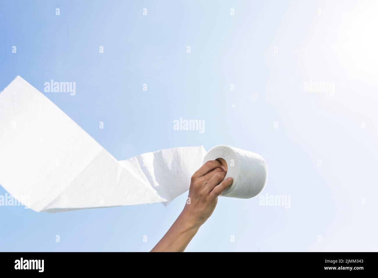Toilet paper hand drawn hi-res stock photography and images - Alamy