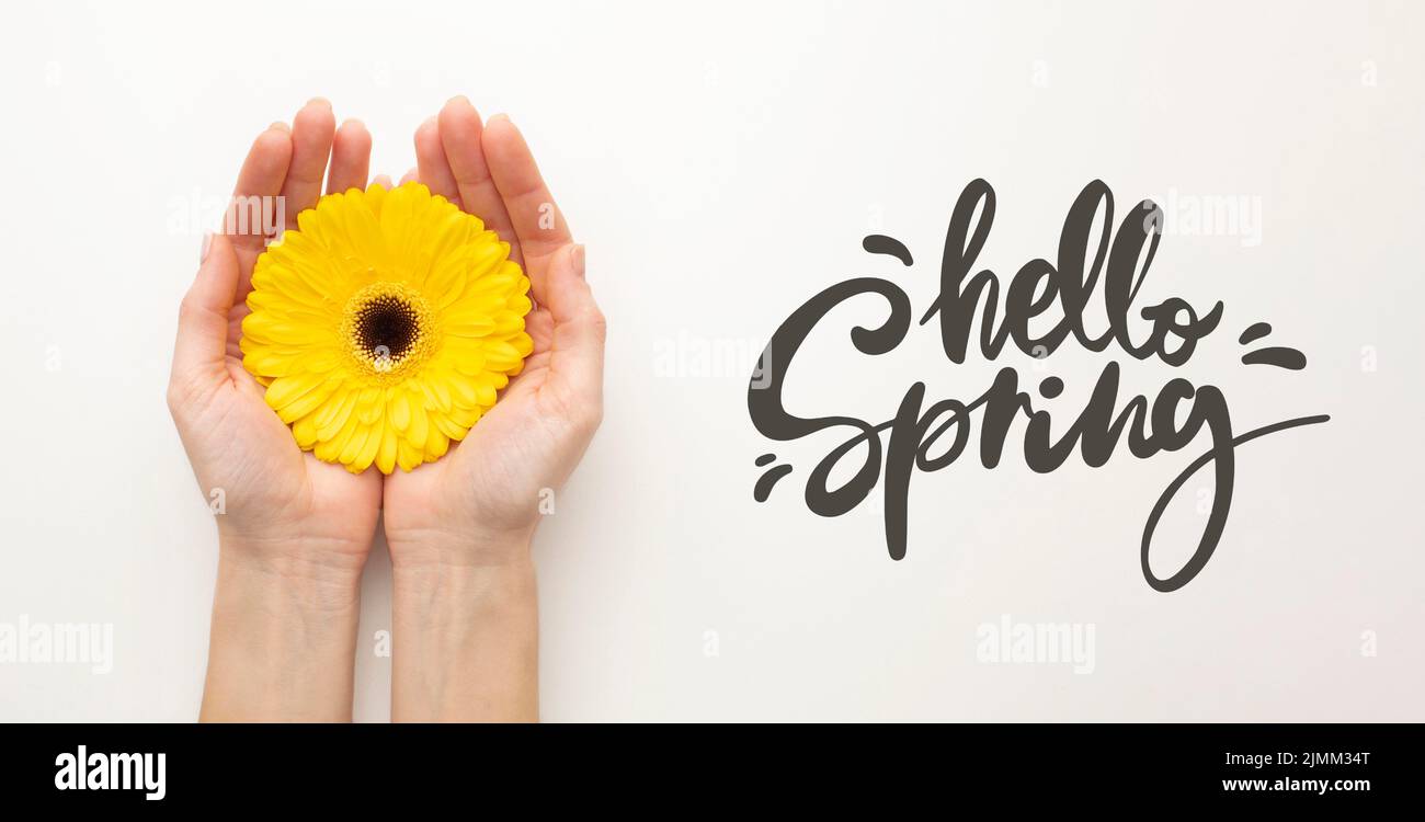 Word writing hello spring! hi-res stock photography and images - Alamy